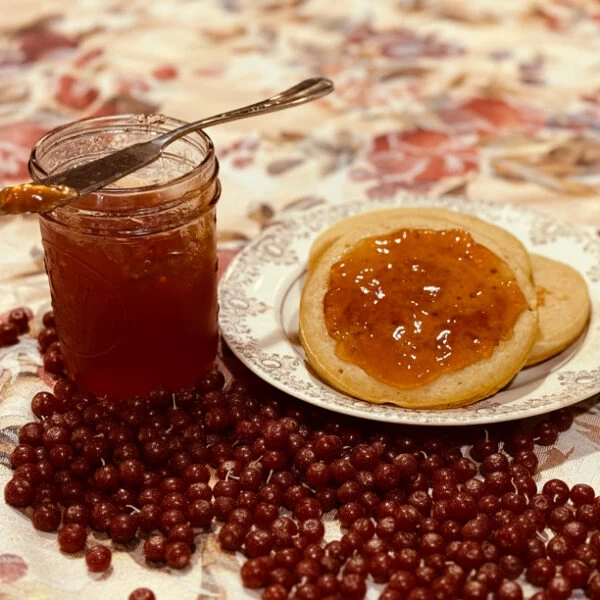 Recipe – Autumn Olive Jelly and Bonus Autumn Olive Syrup – Keeping It Riel