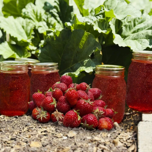 Recipe – Strawberry Rhubarb Jam – Keeping It Riel